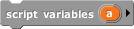 Script variables